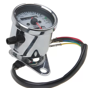 Universal Classic Speedo - White Face — Maxinc