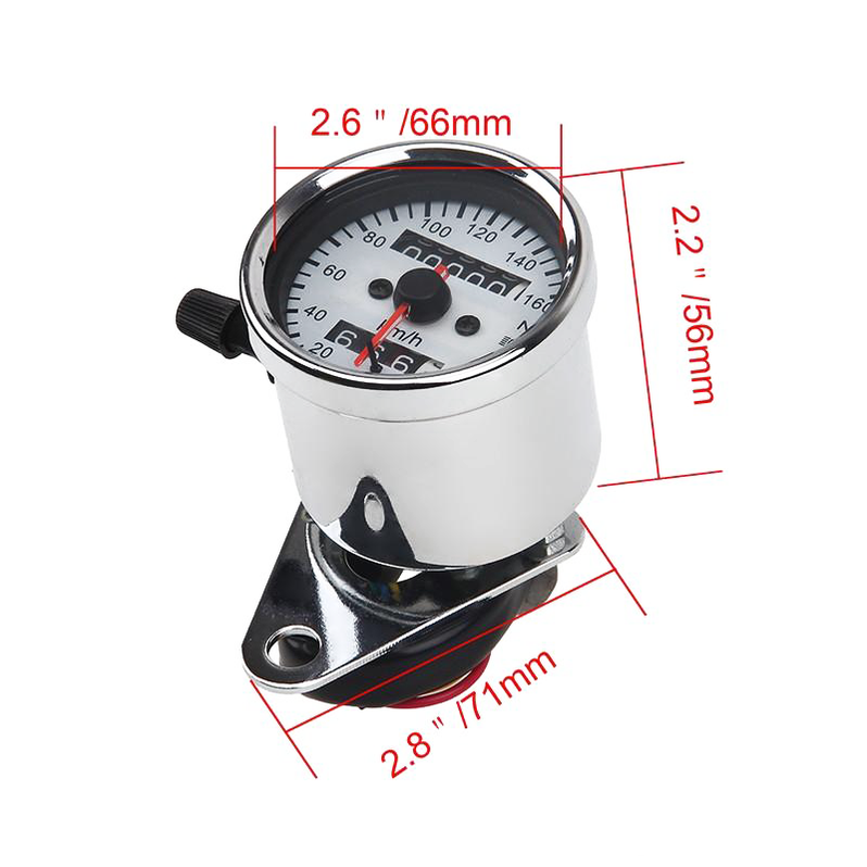 Universal Classic Speedo - White Face